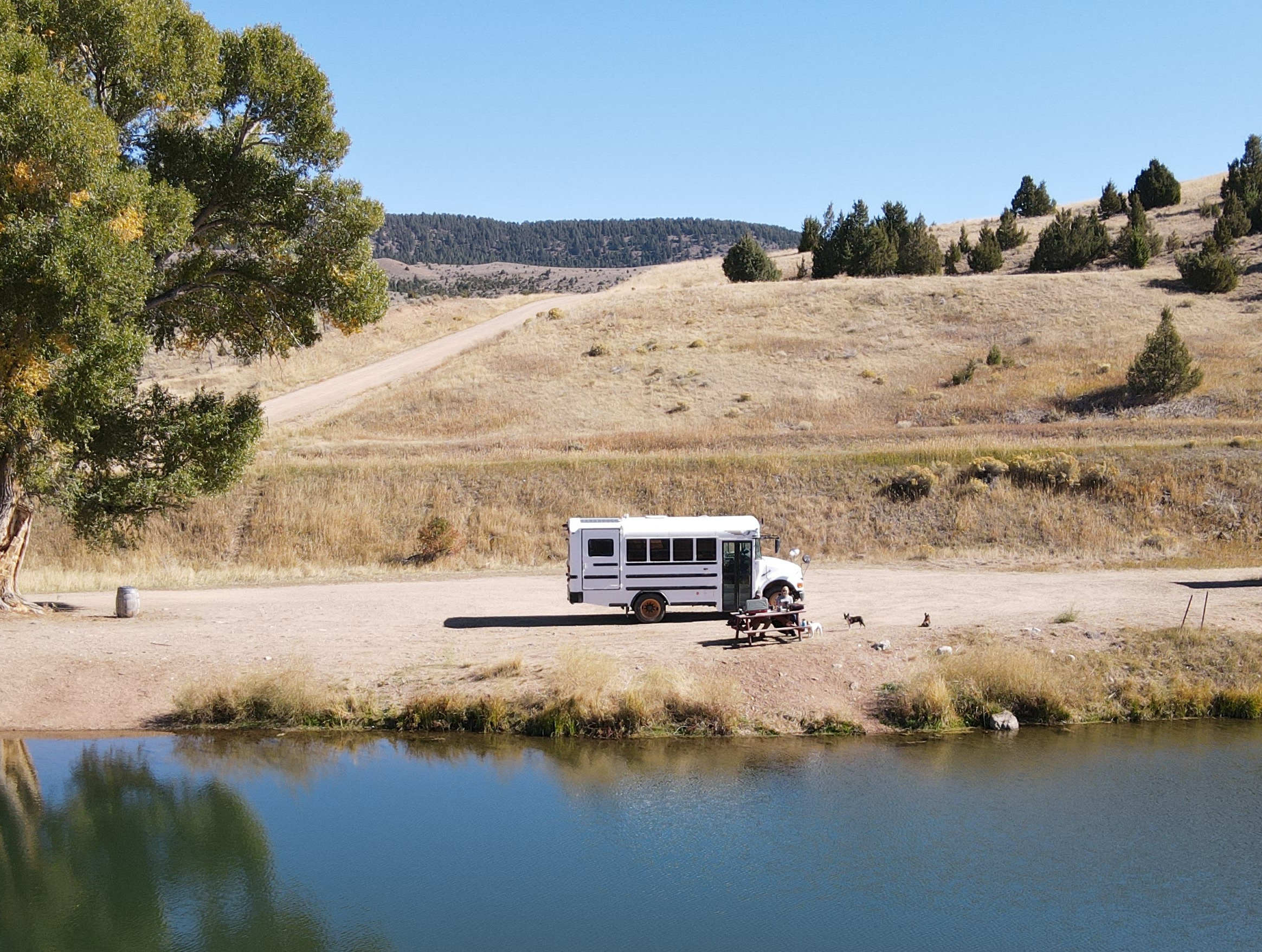 bus_working – Intrepidus Vita